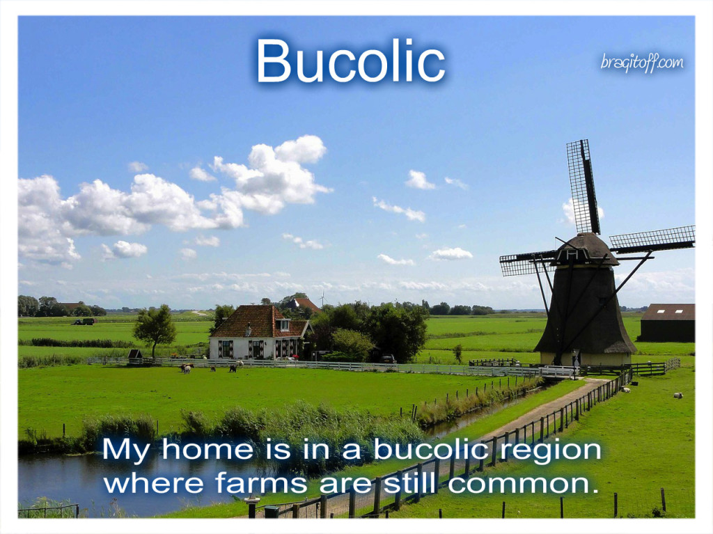 bucolic - BragitOff.com